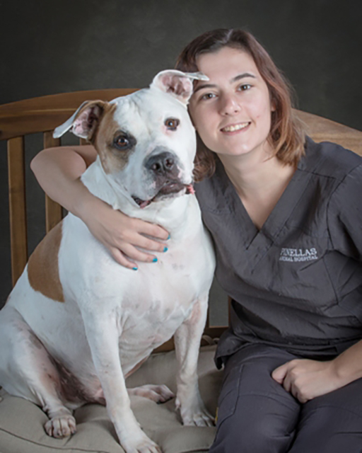 Meet Our Team – Pinellas Park, FL - Pinellas Animal Hospital