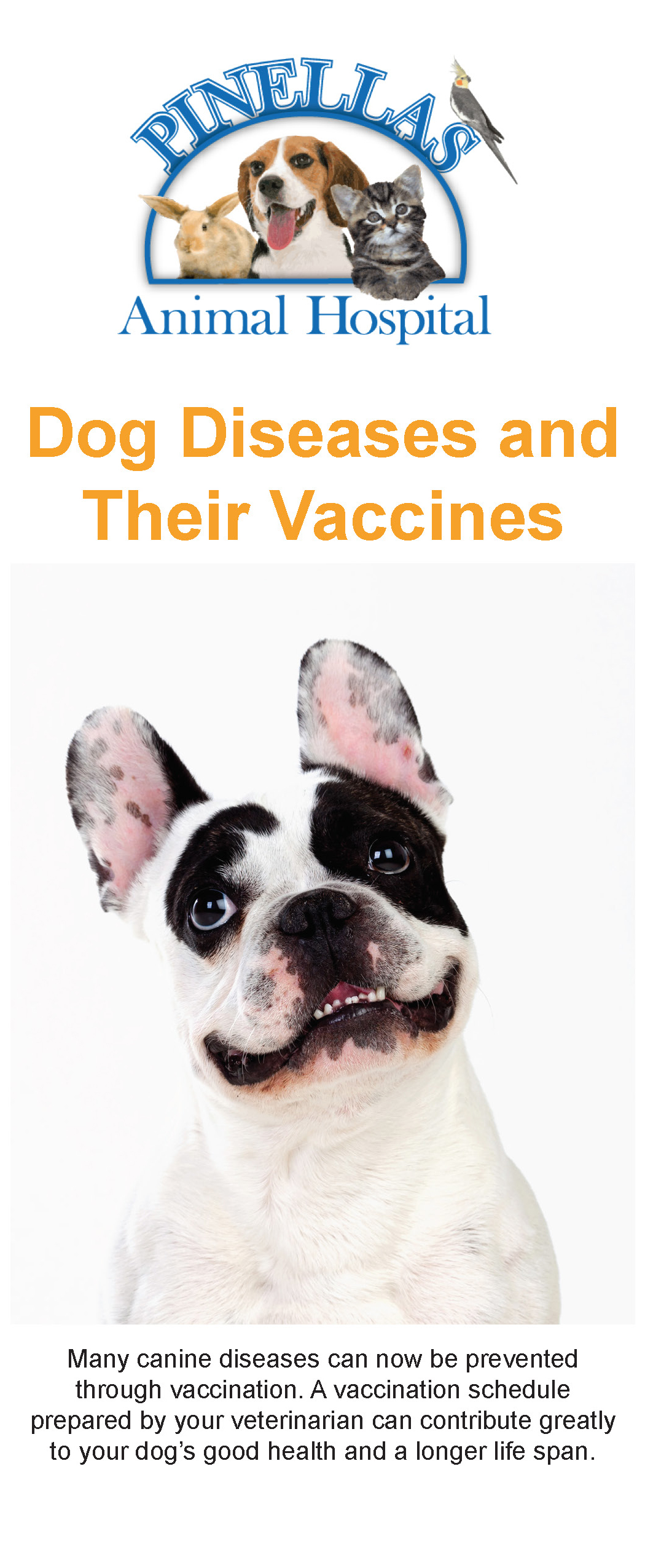 Client Handouts – Pinellas Park, FL - Pinellas Animal Hospital
