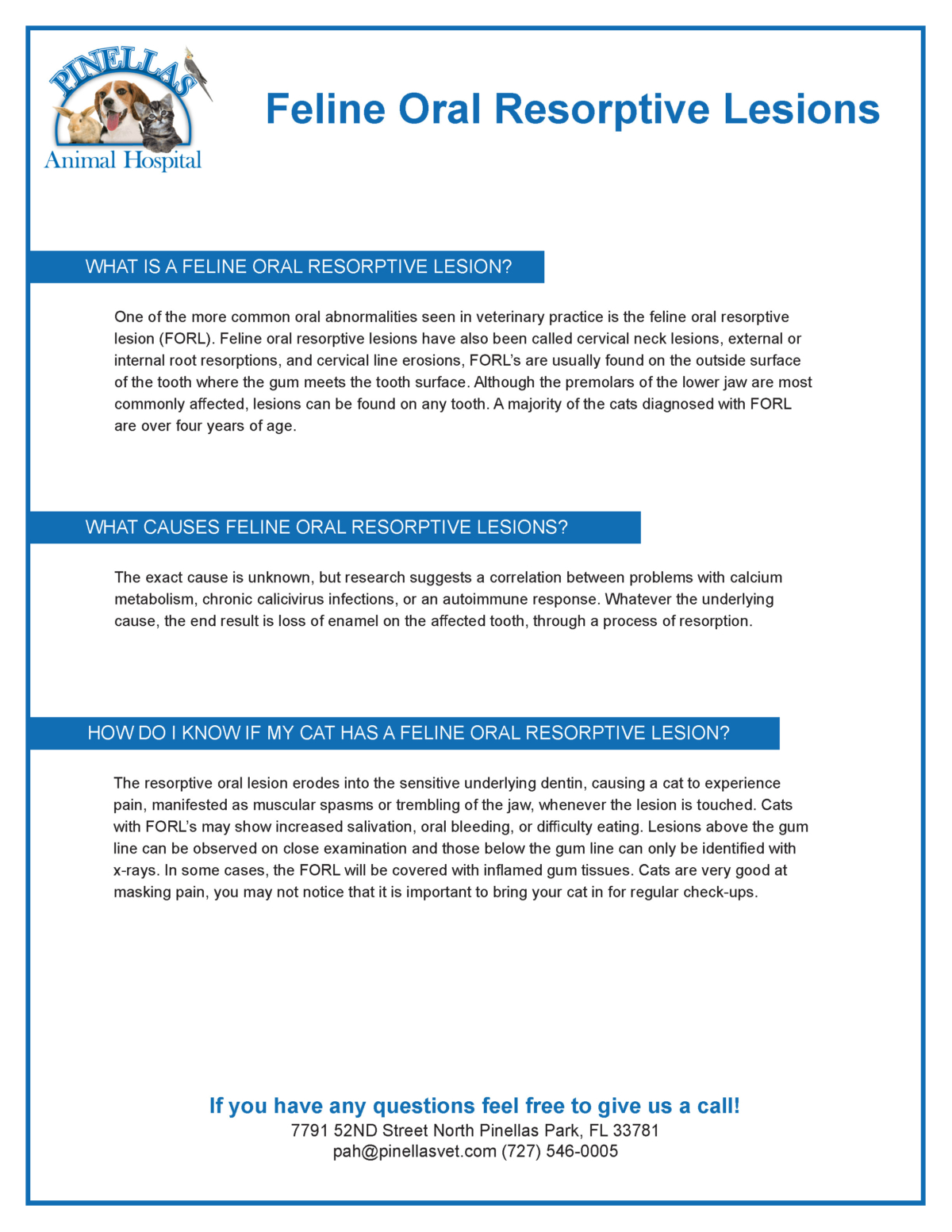 Client Handouts – Pinellas Park, FL - Pinellas Animal Hospital