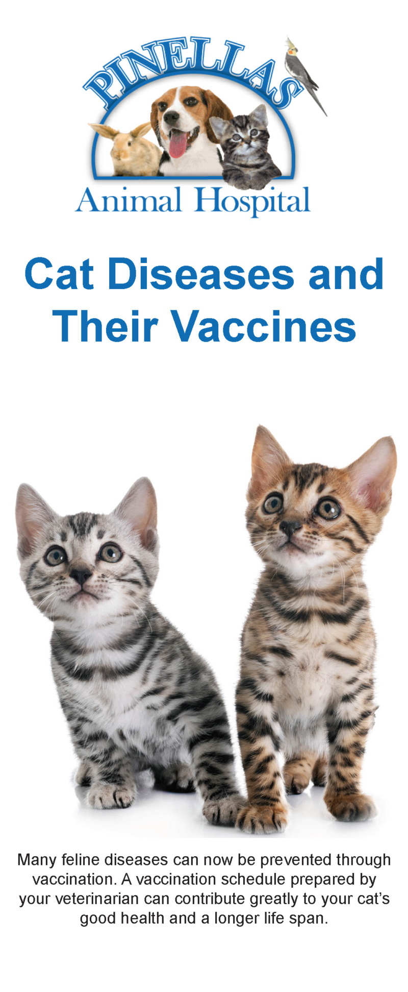 Client Handouts – Pinellas Animal Hospital – Pinellas Park, FL