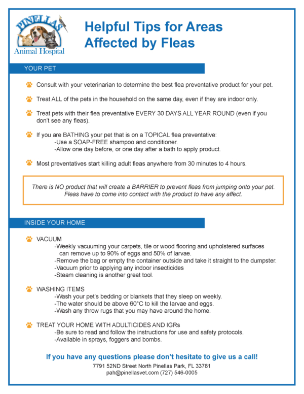 Client Handouts – Pinellas Park, FL - Pinellas Animal Hospital
