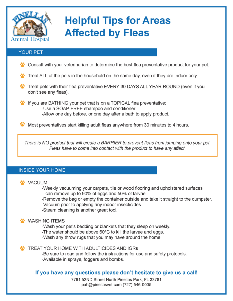 Client Handouts – Pinellas Park, FL - Pinellas Animal Hospital