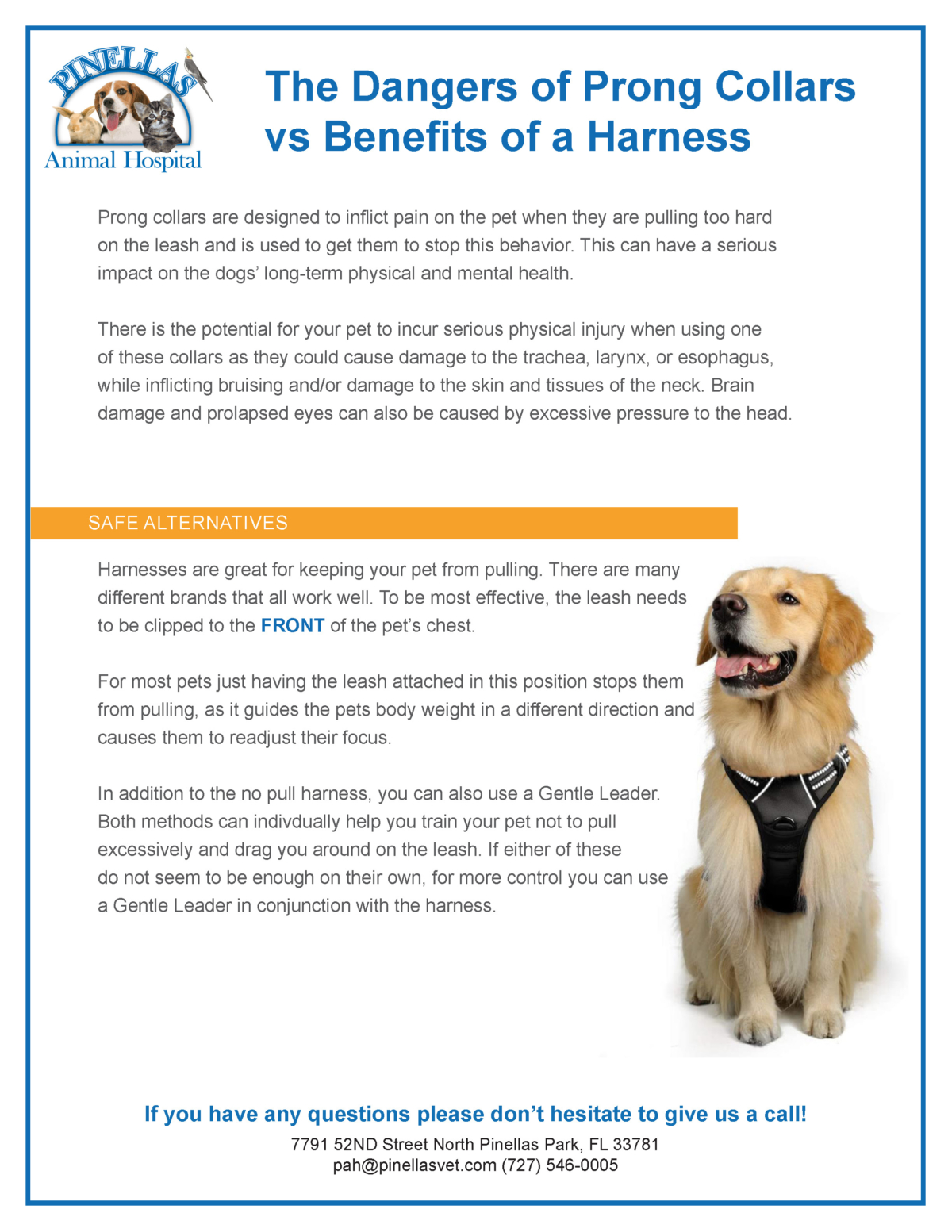 Client Handouts – Pinellas Animal Hospital – Pinellas Park, FL