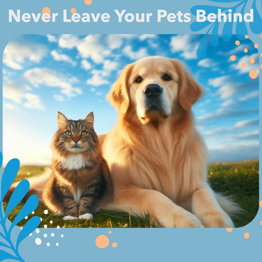 Hurricane Pet Kit: What You Should Include – Pinellas Animal Hospital ...