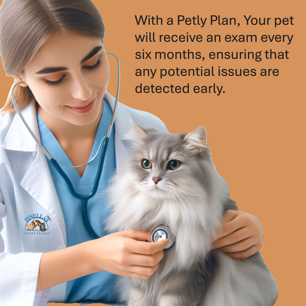 The Benefits of a Petly Plan – Pinellas Animal Hospital – Pinellas Park, FL